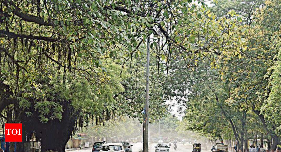 Nature Conservation Association: NHAI decides not to fell some 250 ...