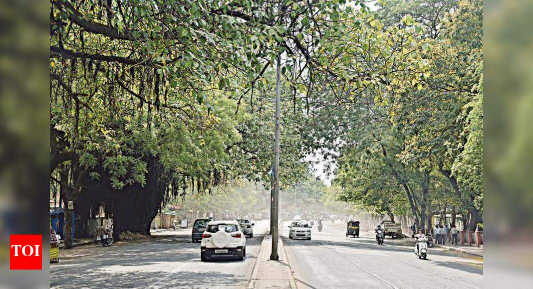 Nature Conservation Association: NHAI decides not to fell some 250 ...