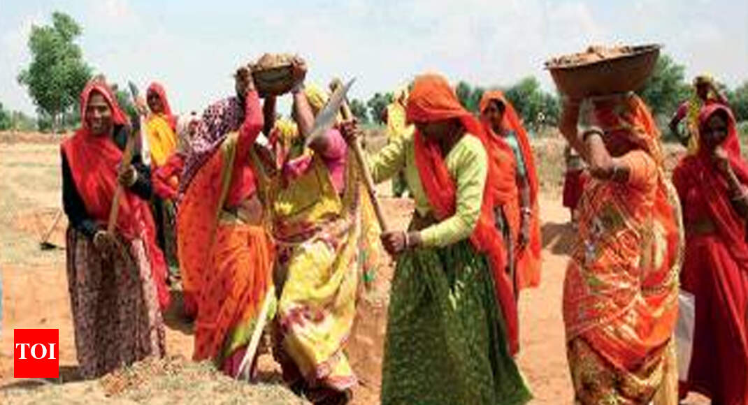 Rajasthan 2nd in generating NREGA work days: Rajasthan 2nd in ...
