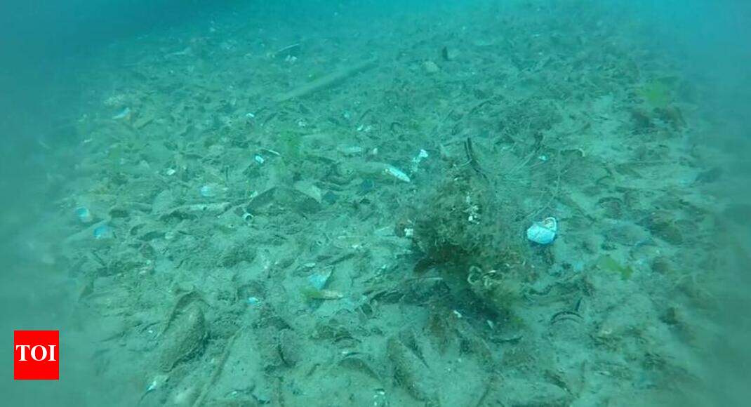Coastal erosion damaged coral reefs off Kovalam coat: Study ...