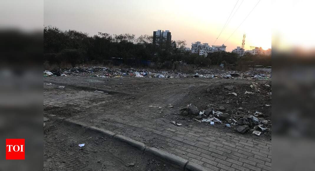 A picture of unclean India in front of WTC, Pune - Times of India