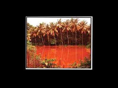 Dabal locals demand use of mineral fund for development | Goa News ...