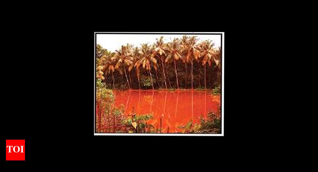Dabal locals demand use of mineral fund for development | Goa News ...