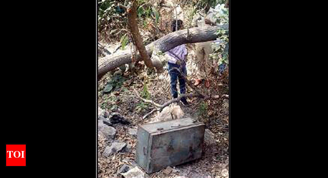 Woman's body found in trunk on Sion-Panvel highway | Navi Mumbai News ...