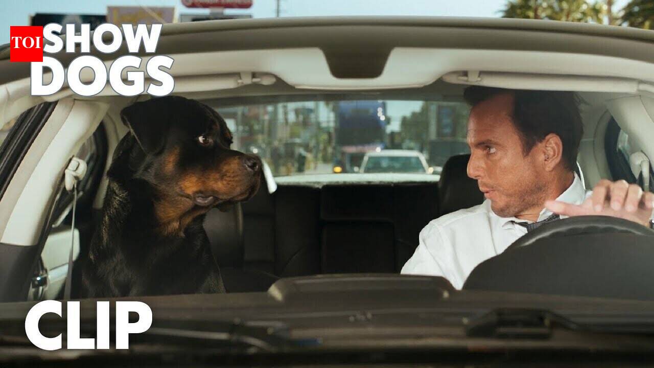 Show Dogs - Movie Clip