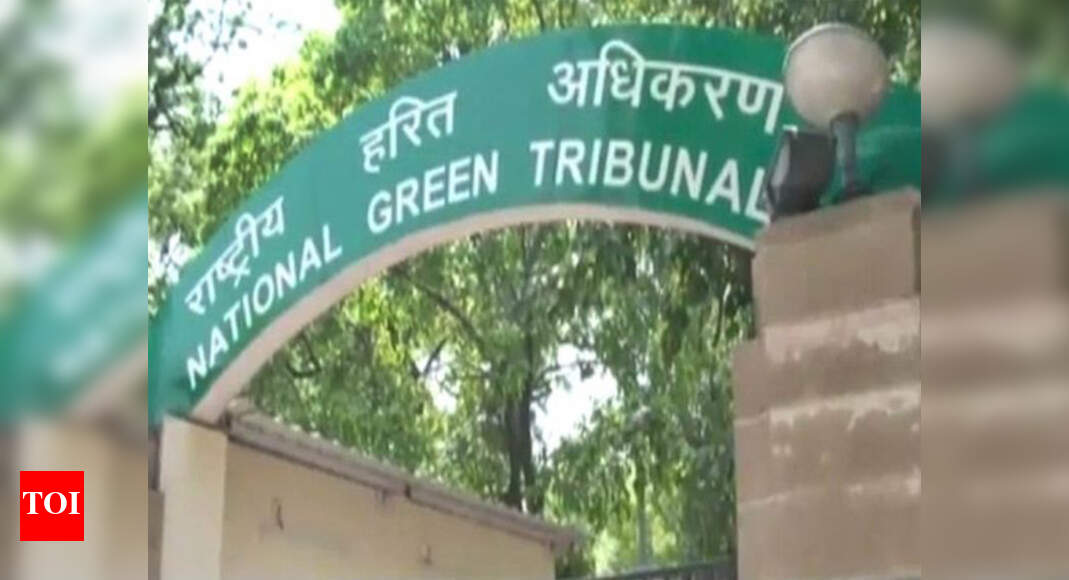 Basai Waste Plant: Delhi NGO moves NGT against waste dumping at Basai ...