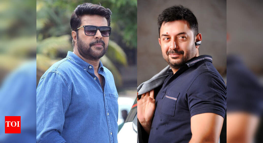Arvind Swami and Mammootty to team up again? | Malayalam Movie News ...