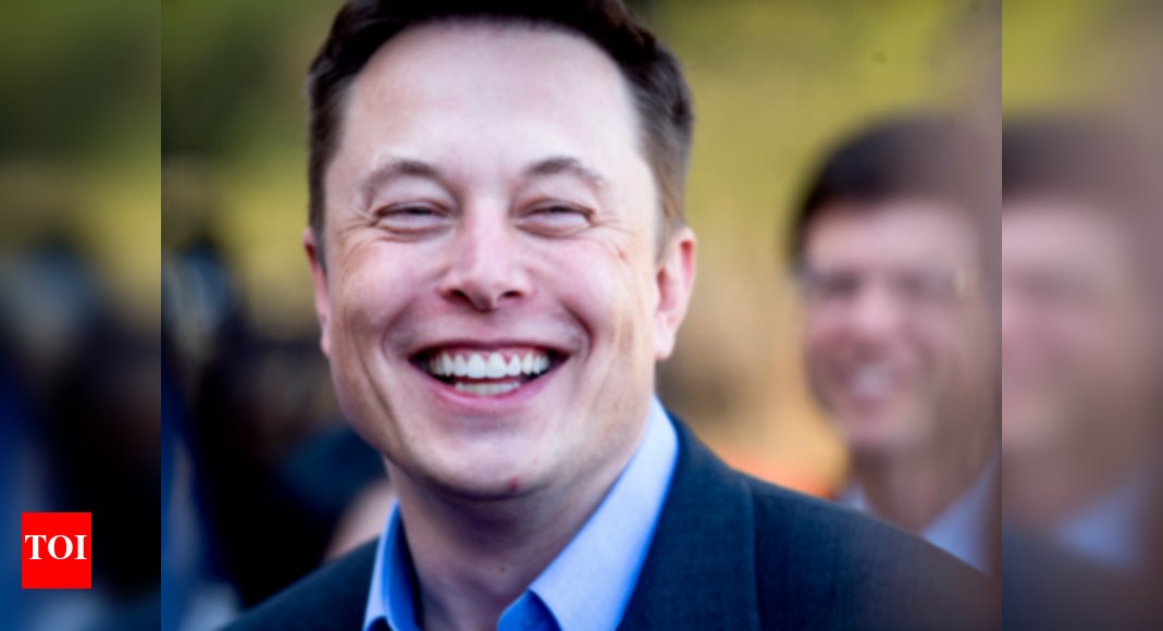 Tesla: Elon Musk outlines plan to get into brick-making business ...
