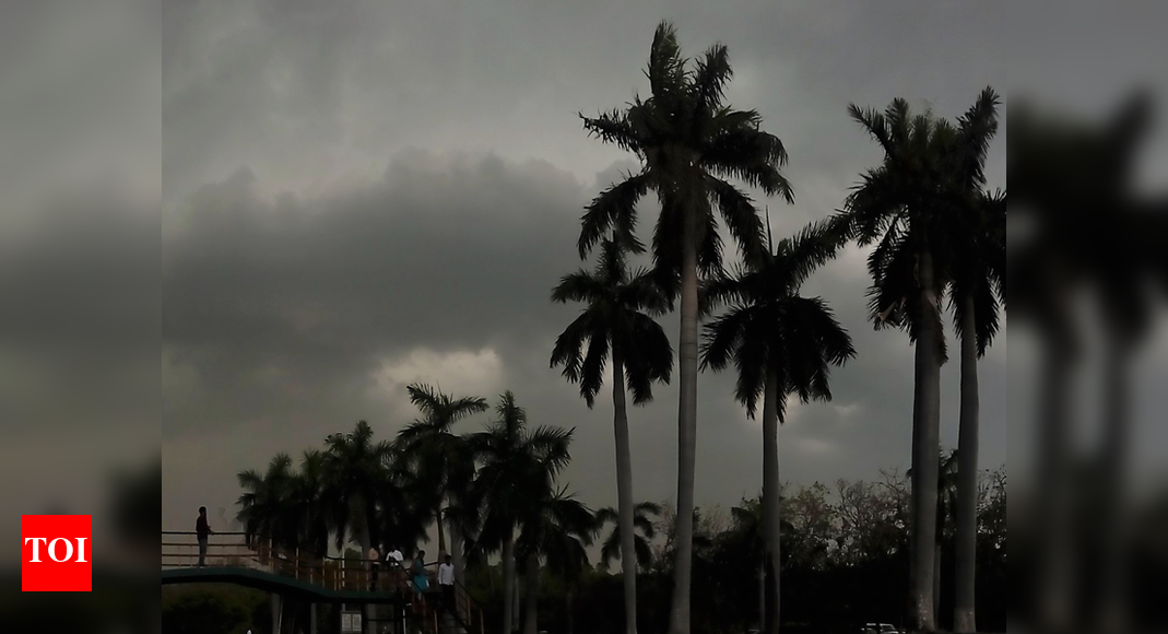 Dust storms, rain hit northern states | India News - Times of India