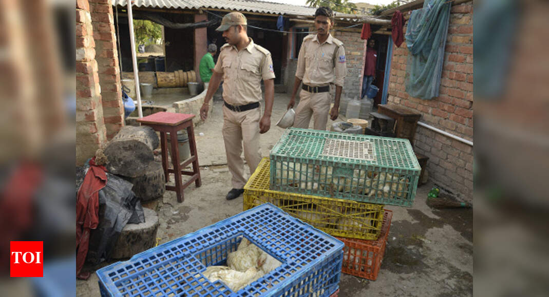 KMC says no to dumping of animals from outside at Dhapa ground ...