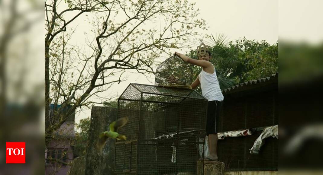 ‘Rainbow Jelly’ first song: Revisit your fantasy world with ‘Tumi To ...