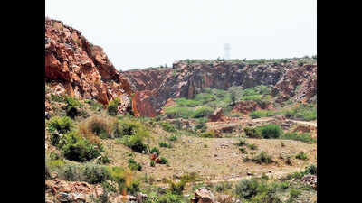 100 trees axed in 2 days, ‘malba’ used to build road in Aravalis ...