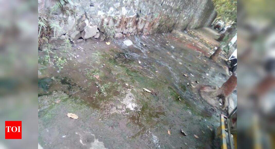 Filth on street - Times of India