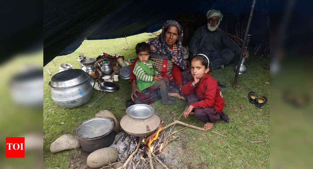 Bakerwals are losing their way of life to barbed wire - Times of India