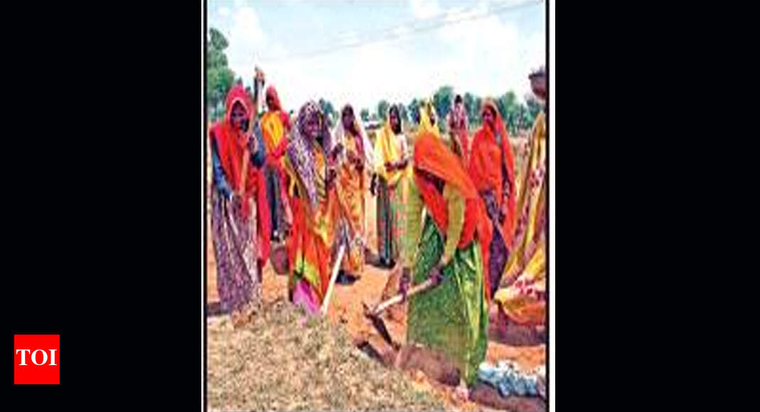 UP ranked first in rural development schemes in country | Lucknow News ...