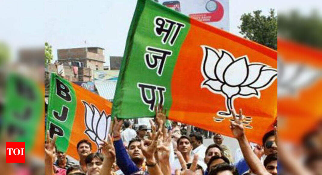 BJP to woo youth through job fairs, offer letters in MP | India News ...