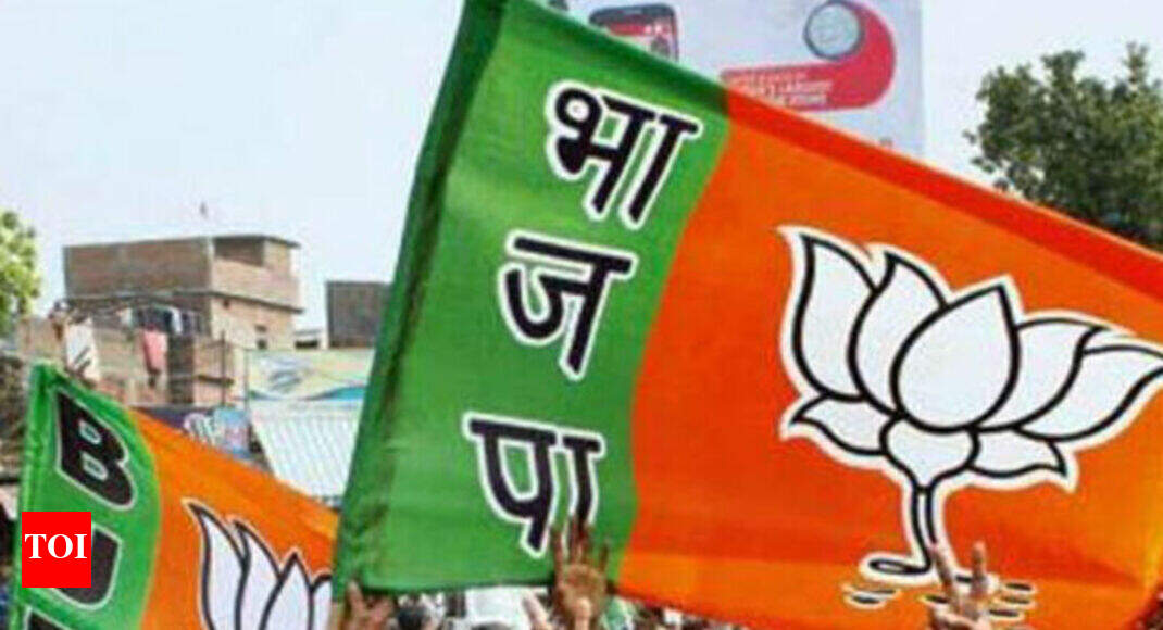 BJP to woo youth through job fairs, offer letters in MP | India News ...