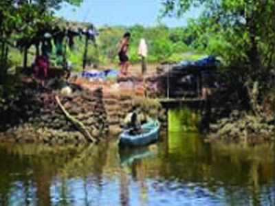 Preserve 3.5m width for St Estevam bunds: Coastal body | Goa News ...