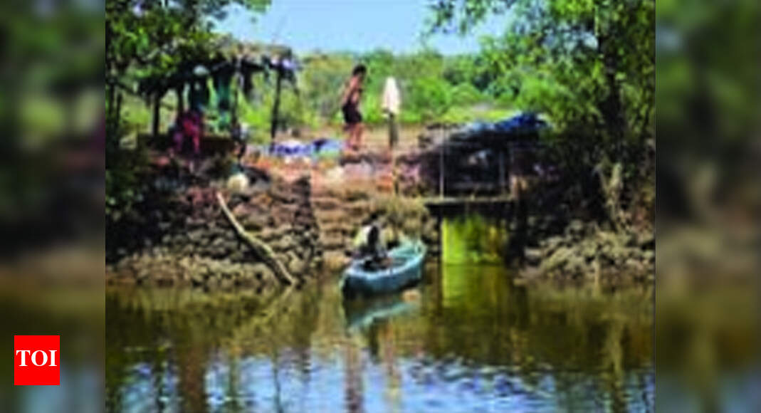 Panaji: Preserve 3.5m width for St Estevam bunds: Coastal body | Goa ...