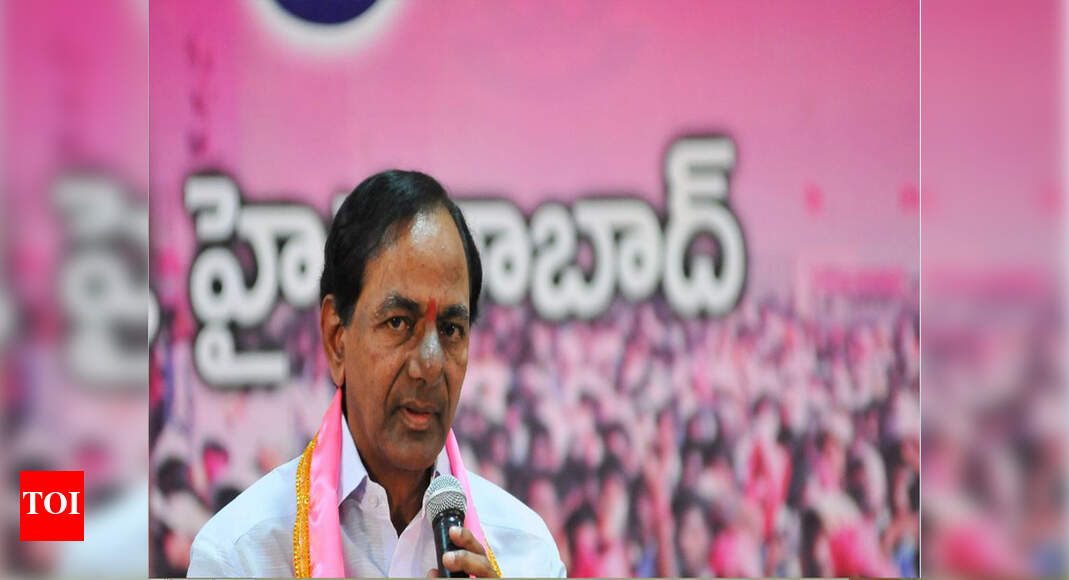 K Taraka Rama Rao: KCR will remain CM for another decade, says K T Rama ...