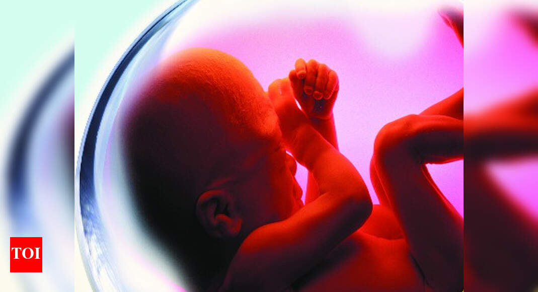 India may have got its first child 'without father' | Chennai News ...