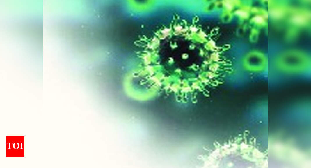 Nipah Virus In Kerala: Steps taken to contain Nipah virus, assures ... Nipah Virus In Kerala: Steps taken to contain Nipah virus, assures ...