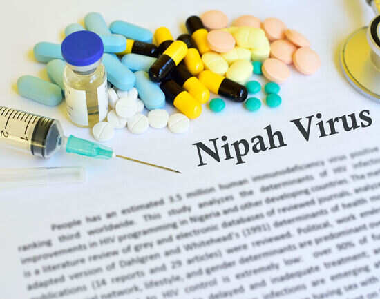 Kerala travel advisory – Nipah virus claims lives, health department on ... Kerala travel advisory – Nipah virus claims lives, health department on ...