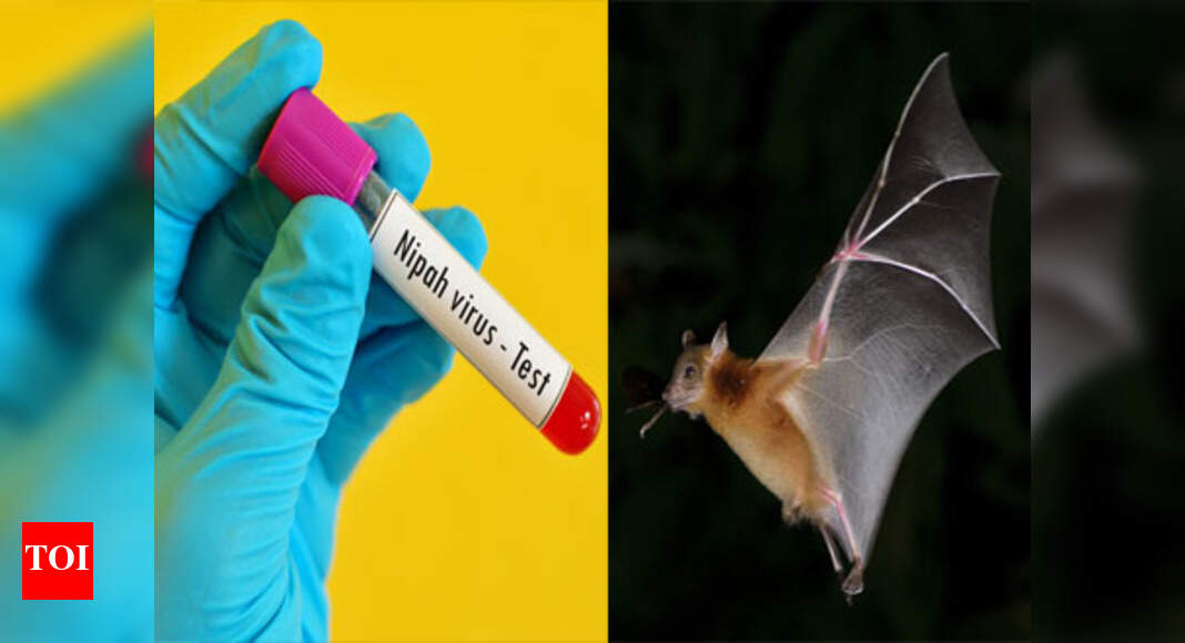 Nipah Virus Prevention: Know How Did Nipah Virus Spread, How to Protect ...