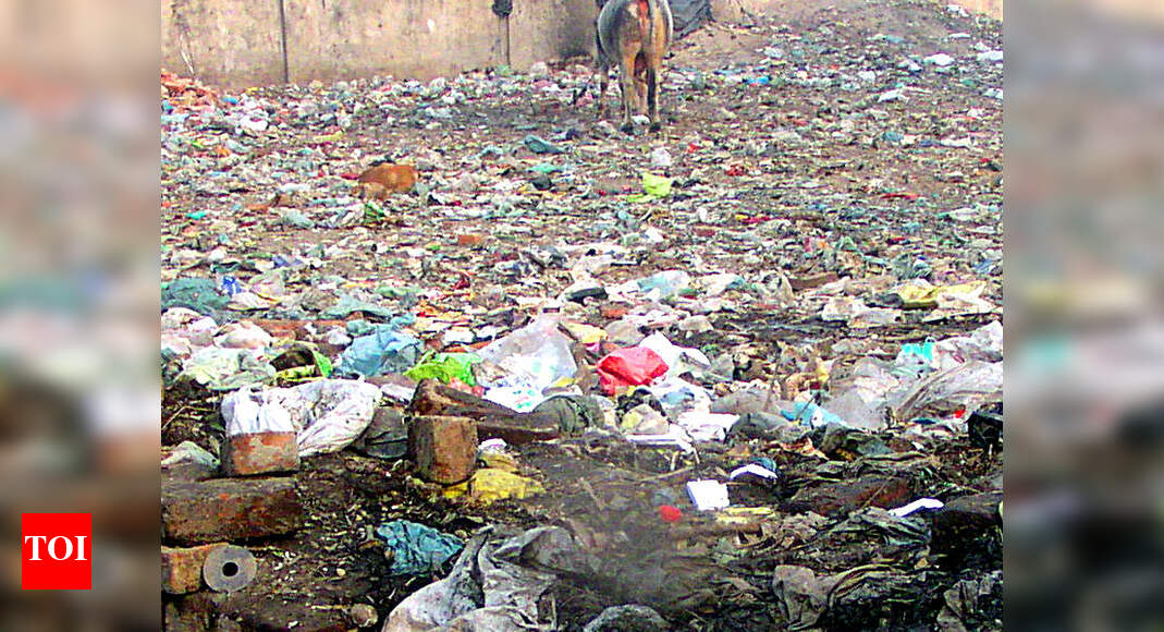 Top prize for managing solid waste, but look at pictures below ...