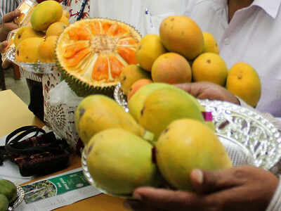 Lalbagh mela: Buy mangoes at Metro stations as well | Bengaluru News ...