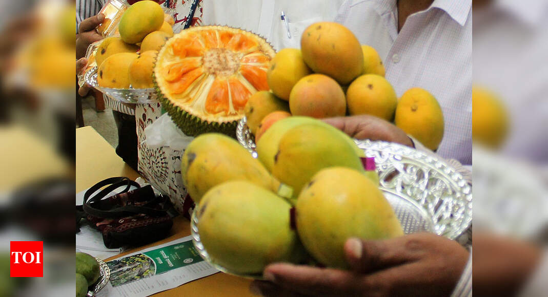 Metro: Lalbagh mela: Buy mangoes at Metro stations as well | Bengaluru ...