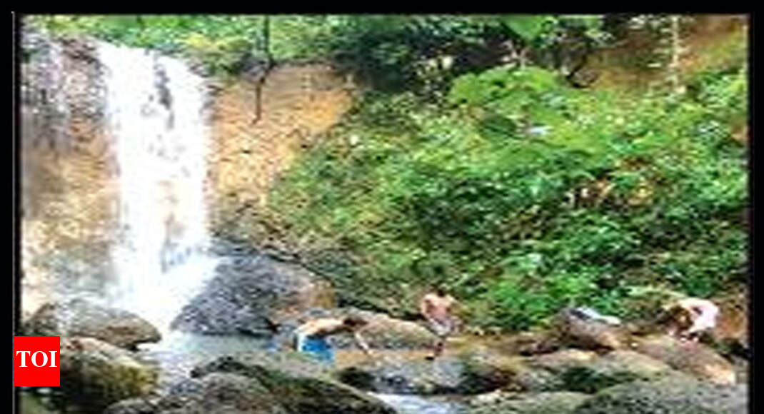 Locals seek dose of rejuvenation for Kesarval spring | Goa News - Times ...