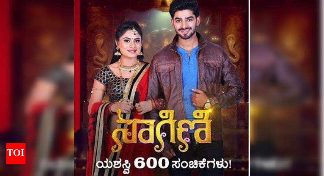Naagini completes 600 episodes, Here's what to expect in the upcoming ...