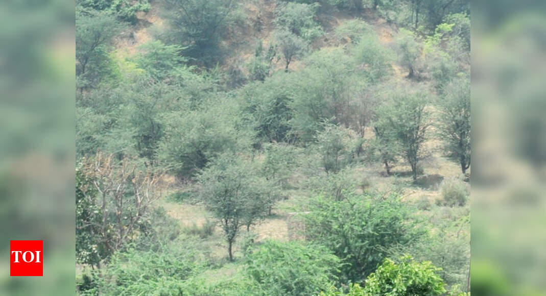 Mehrauli-Manesar: Mehrauli-Manesar road can’t cut through Aravalis, to ...