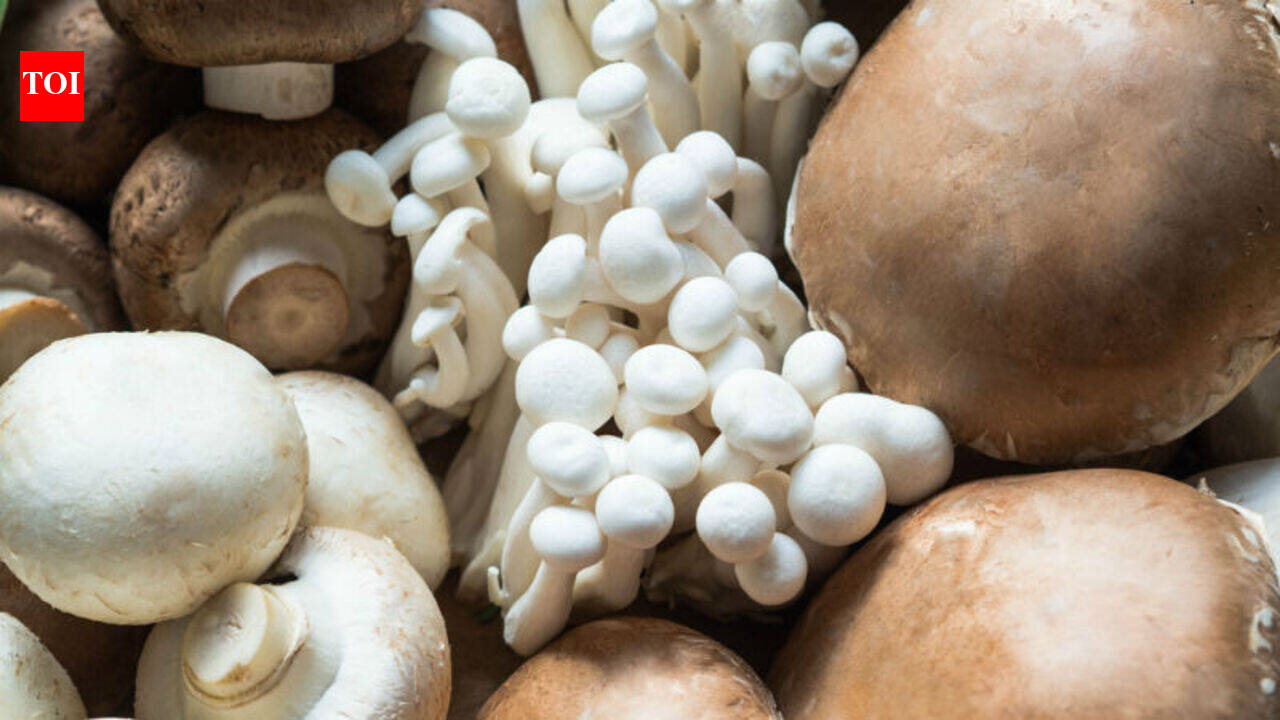 3 ways to tell if a mushroom is poisonous!