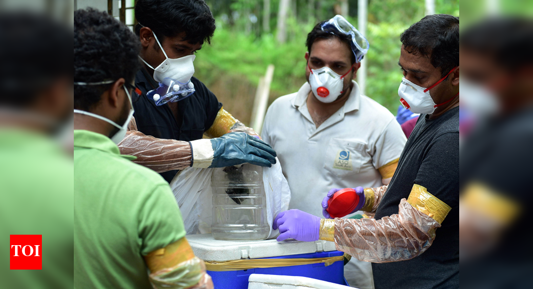 Bats not primary source of Nipah outbreak in Kerala: Report | India ...