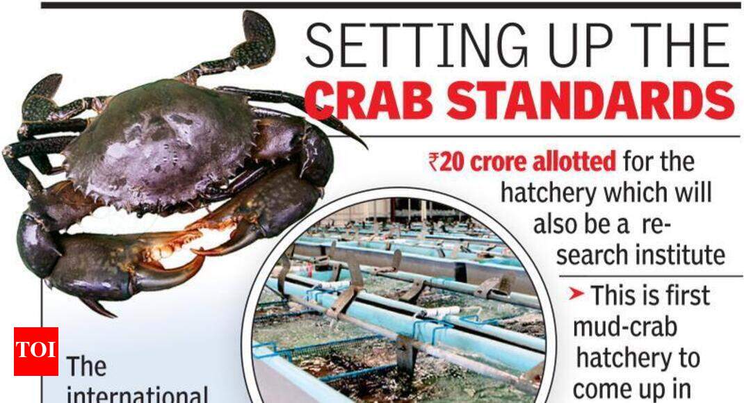 Int’l mud-crab hatchery to come up in Guntur with central funds ...