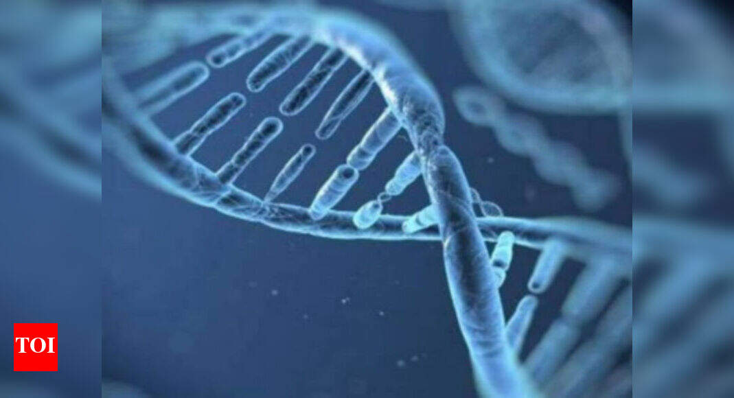 Chinese scientists complete first gene expression profiles of human ...