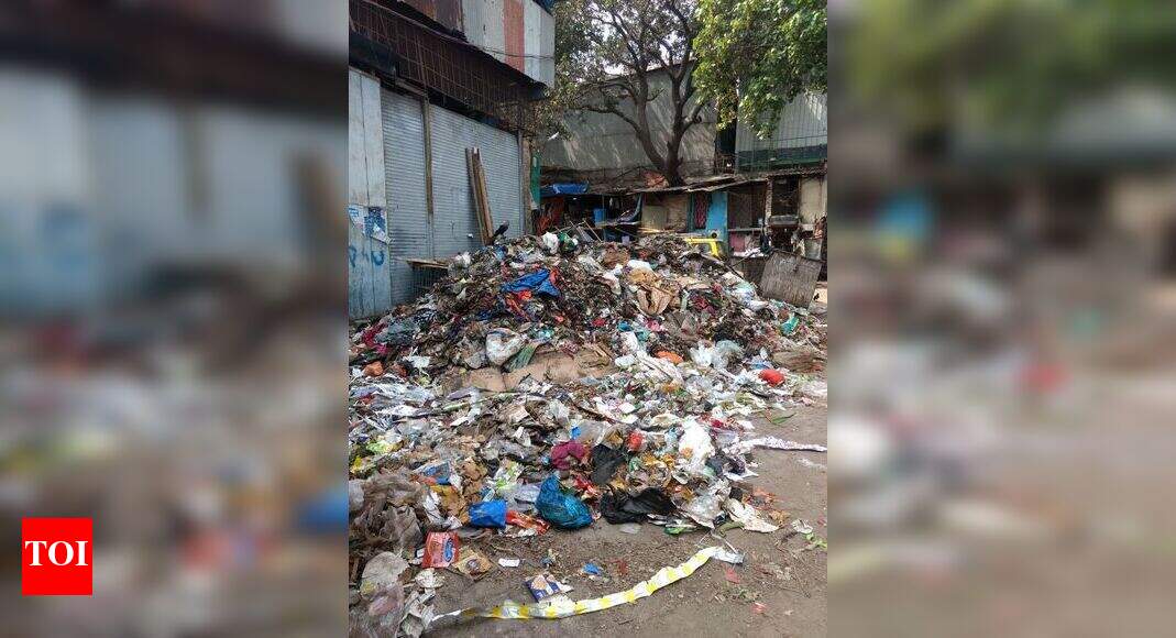 garbage mountain - Times of India