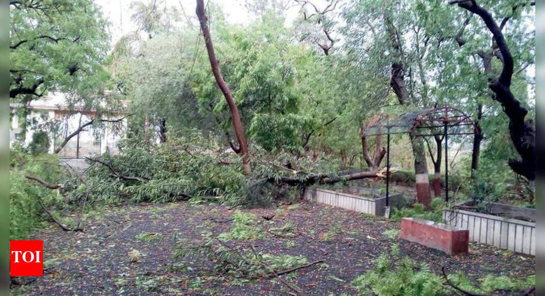 Atkot: Pre-monsoon showers hit Atkot, rest of Gujarat waits | Ahmedabad ...