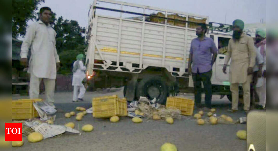 Farmers Strike Live Updates: 10-day nationwide strike begins today
