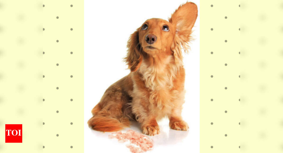 How to manage shedding effectively - The Times of India
