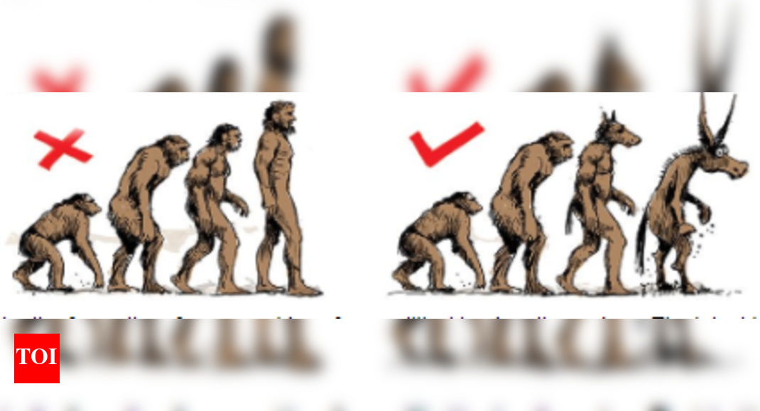 9. BJP minister reinvents another invention - Times of India