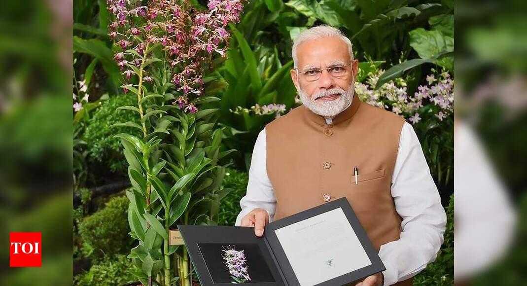 Narendra Modi: Orchid named after PM Narendra Modi at National Orchid ...
