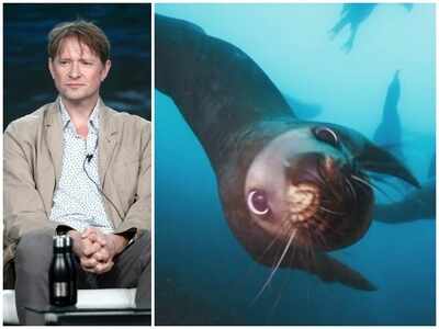 'Blue Planet II' producer Mark Brownlow on the challenges of shooting a ...