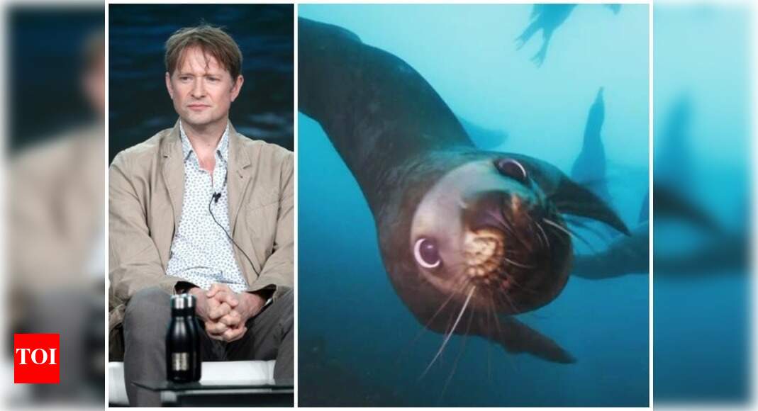 'Blue Planet II' producer Mark Brownlow on the challenges of shooting a ...