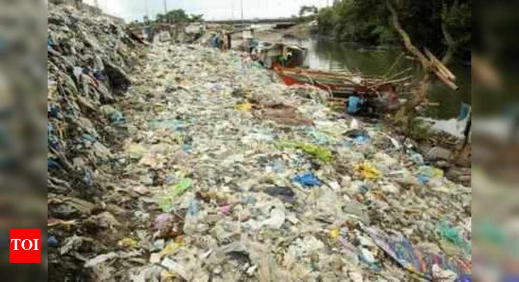 Coca Cola Infosys: Coca Cola, Infosys and others pledge to beat plastic ...