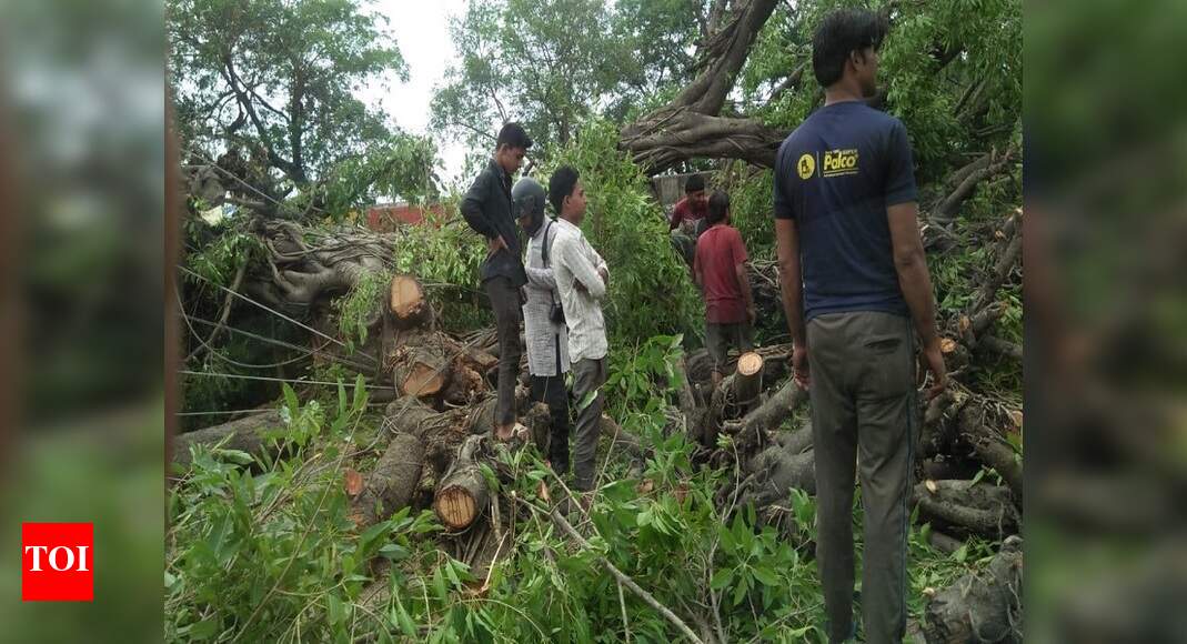 Agra: Storm lashes Agra, 7 hurt in wall collapse in Kasganj | Agra News ...