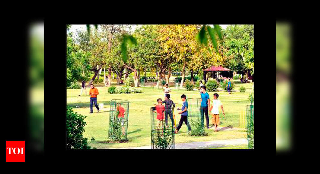 Manimajra garden is cricket field, residents retired hurt | Chandigarh ...