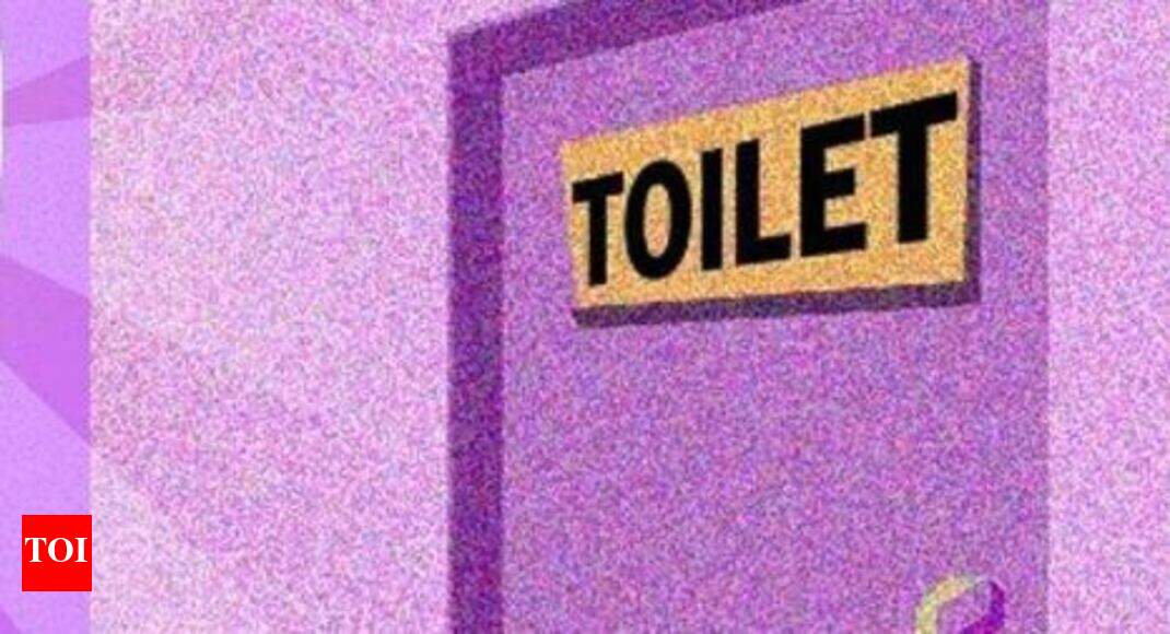 Drive to promote use of twin pit toilets in rural areas | Pune News ...